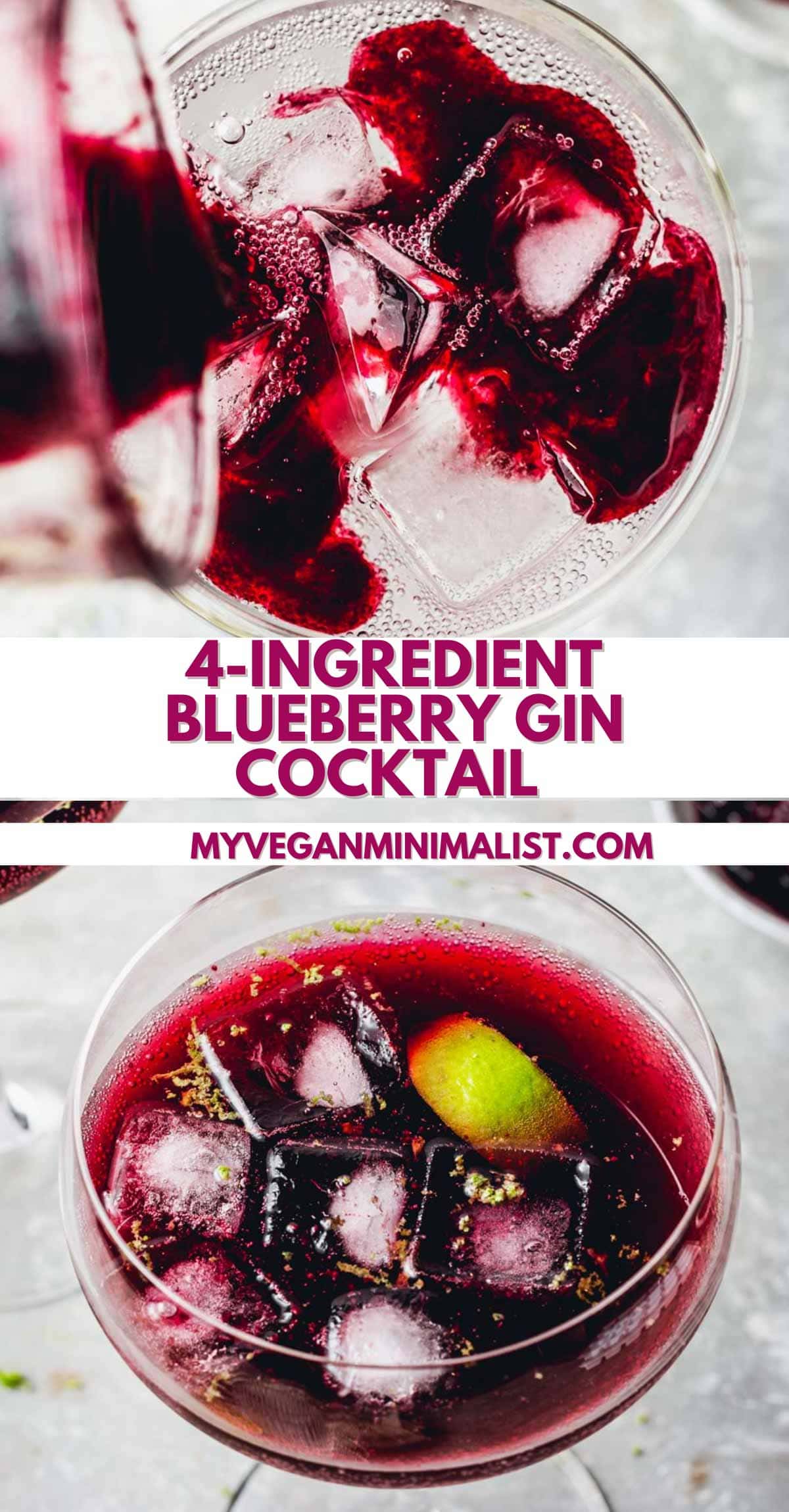 Blueberry Gin Cocktail - My Vegan Minimalist