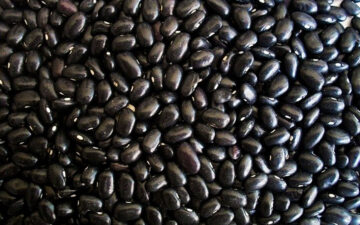 20 Black Vegetables - The Ultimate List - My Vegan Minimalist