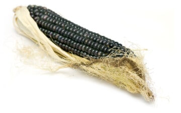 20 Black Vegetables - The Ultimate List - My Vegan Minimalist
