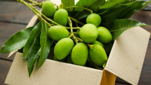 25 Green Fruits - The Ultimate List - My Vegan Minimalist