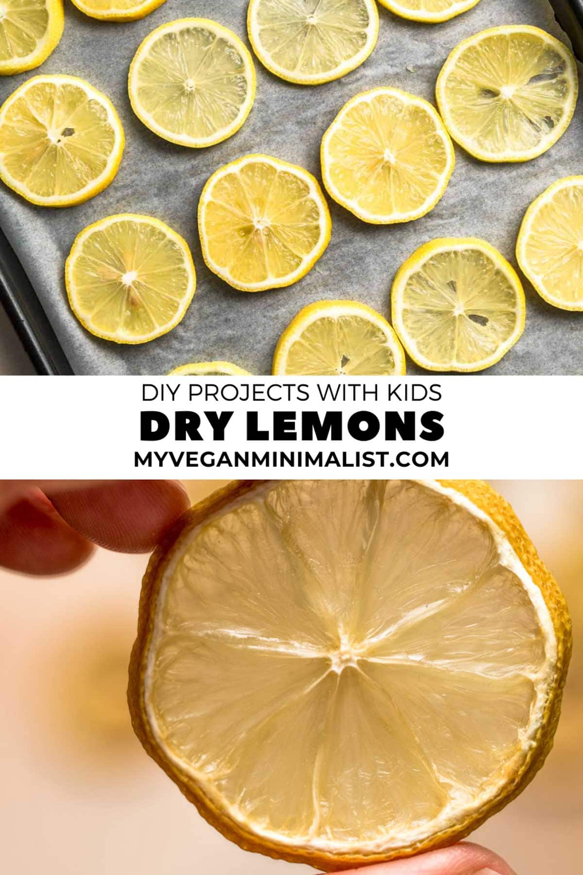 Homemade Dried Lemons - How To Make Lemon Slices - My Vegan Minimalist