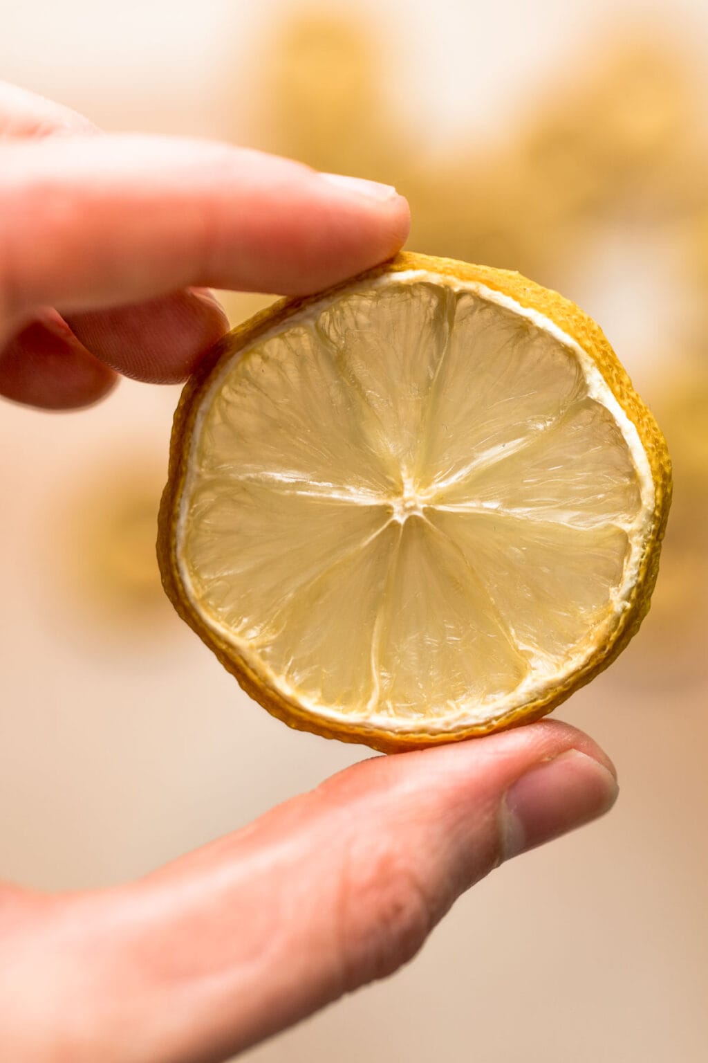Homemade Dried Lemons - How To Make Lemon Slices - My Vegan Minimalist