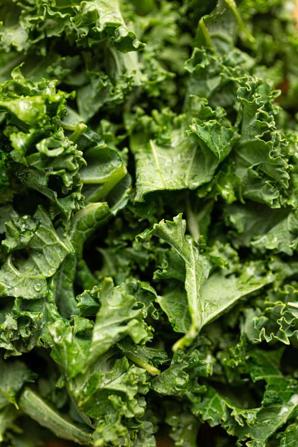 First Watch Kale Tonic Juice - How To Make at Home - My Vegan Minimalist