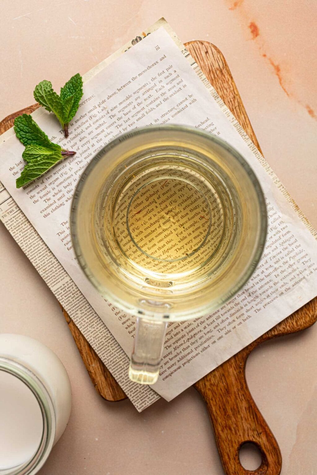 Peppermint Milk Tea with Dark Chocolate - My Vegan Minimalist