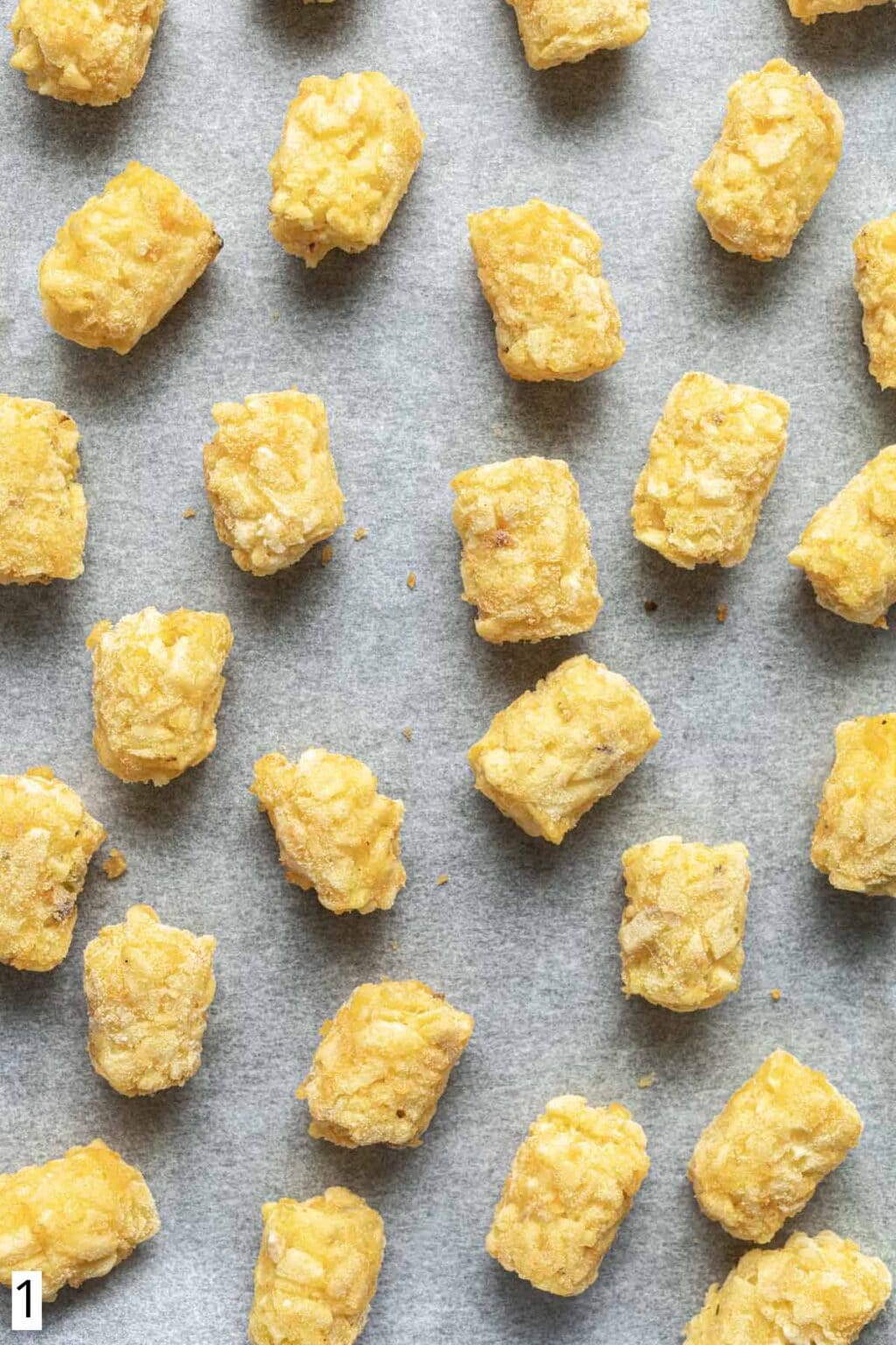 Crispy Smashed Tater Tots - Potato Appetizer - My Vegan Minimalist